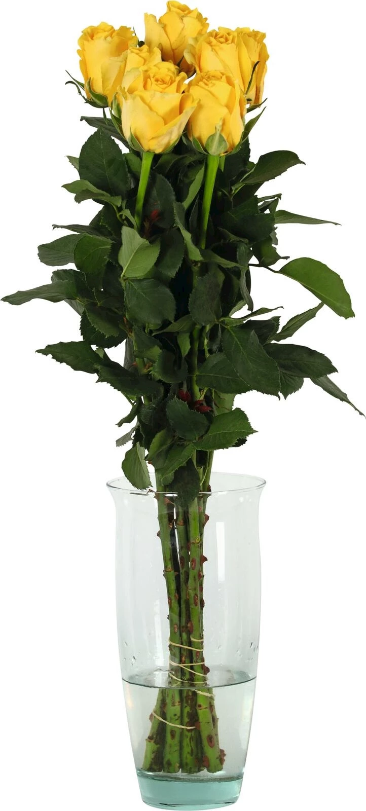 Bouquet de roses 7 pcs. Acheter - Roses - LANDI