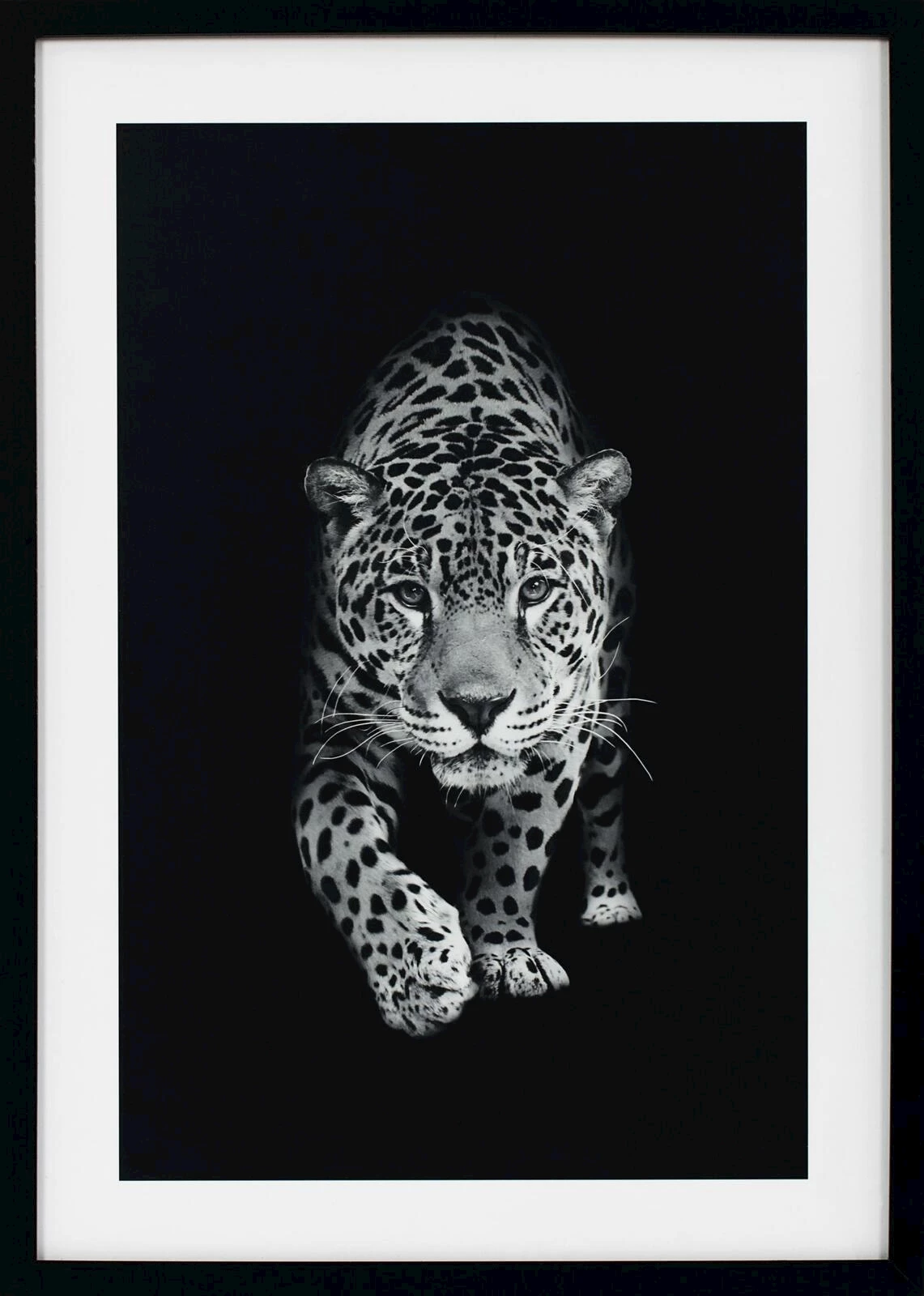 Top Angebote - LANDI