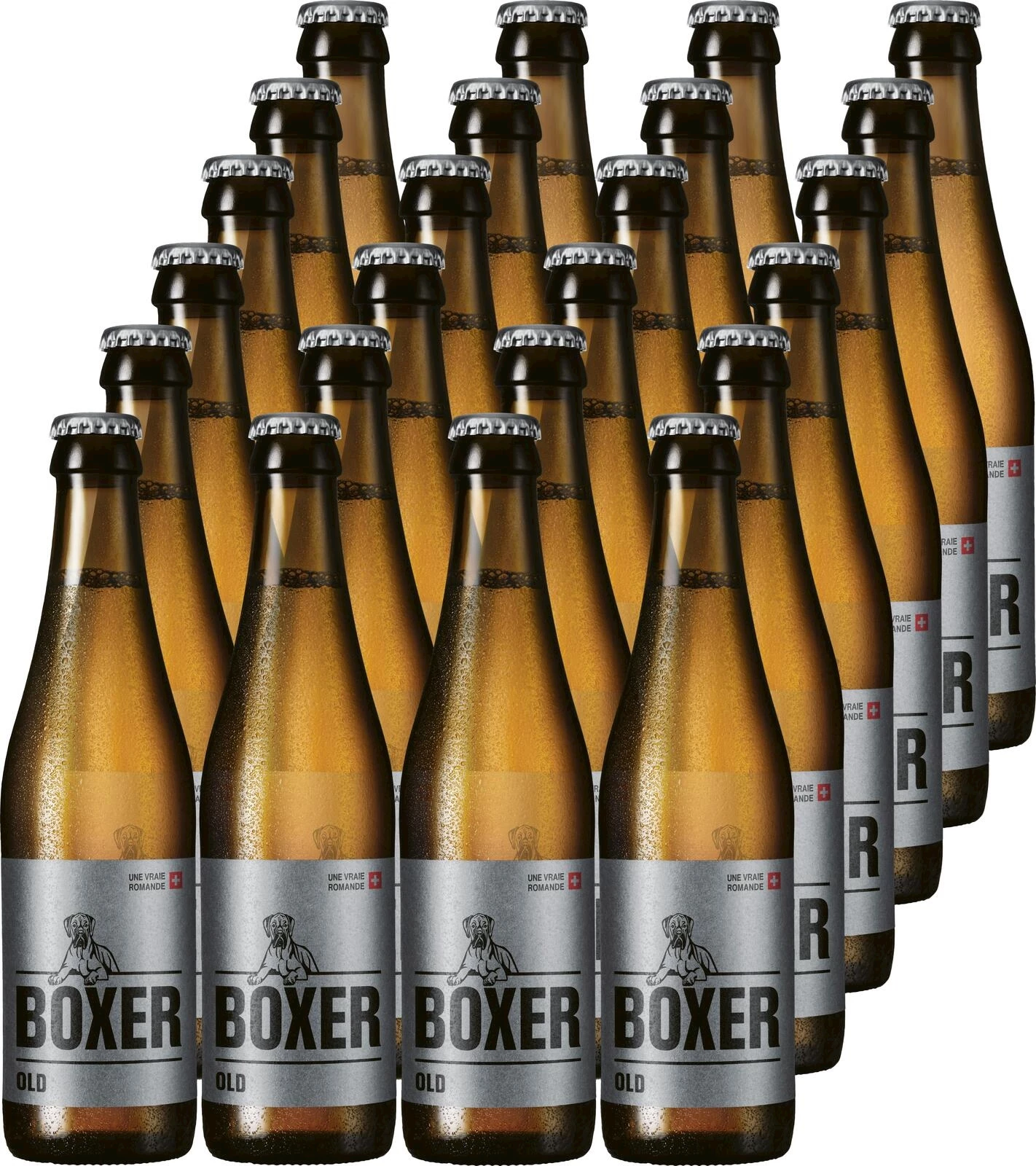 Bière Boxer old 24 × 33 cl Acheter - Bière avec alcool - LANDI