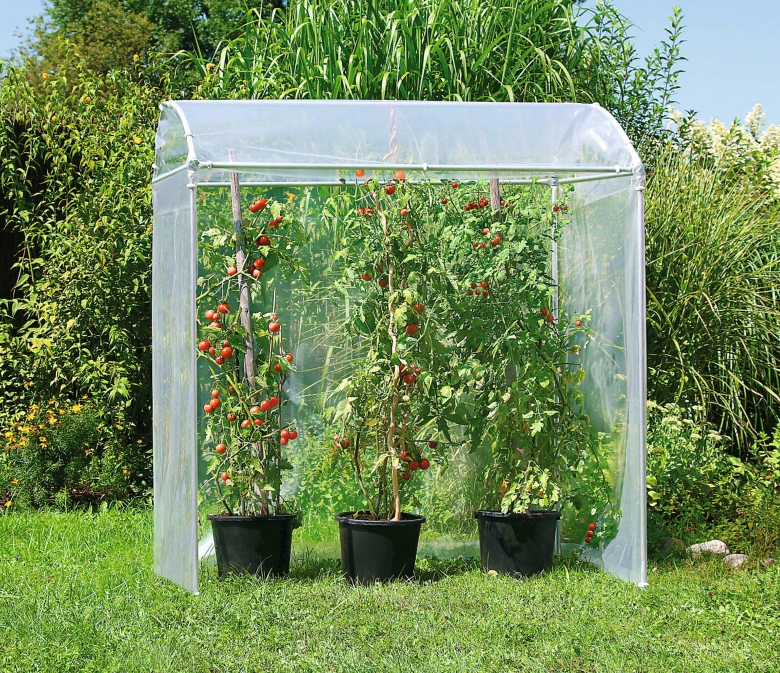 Serre à tomates alu Acheter - Culture - LANDI