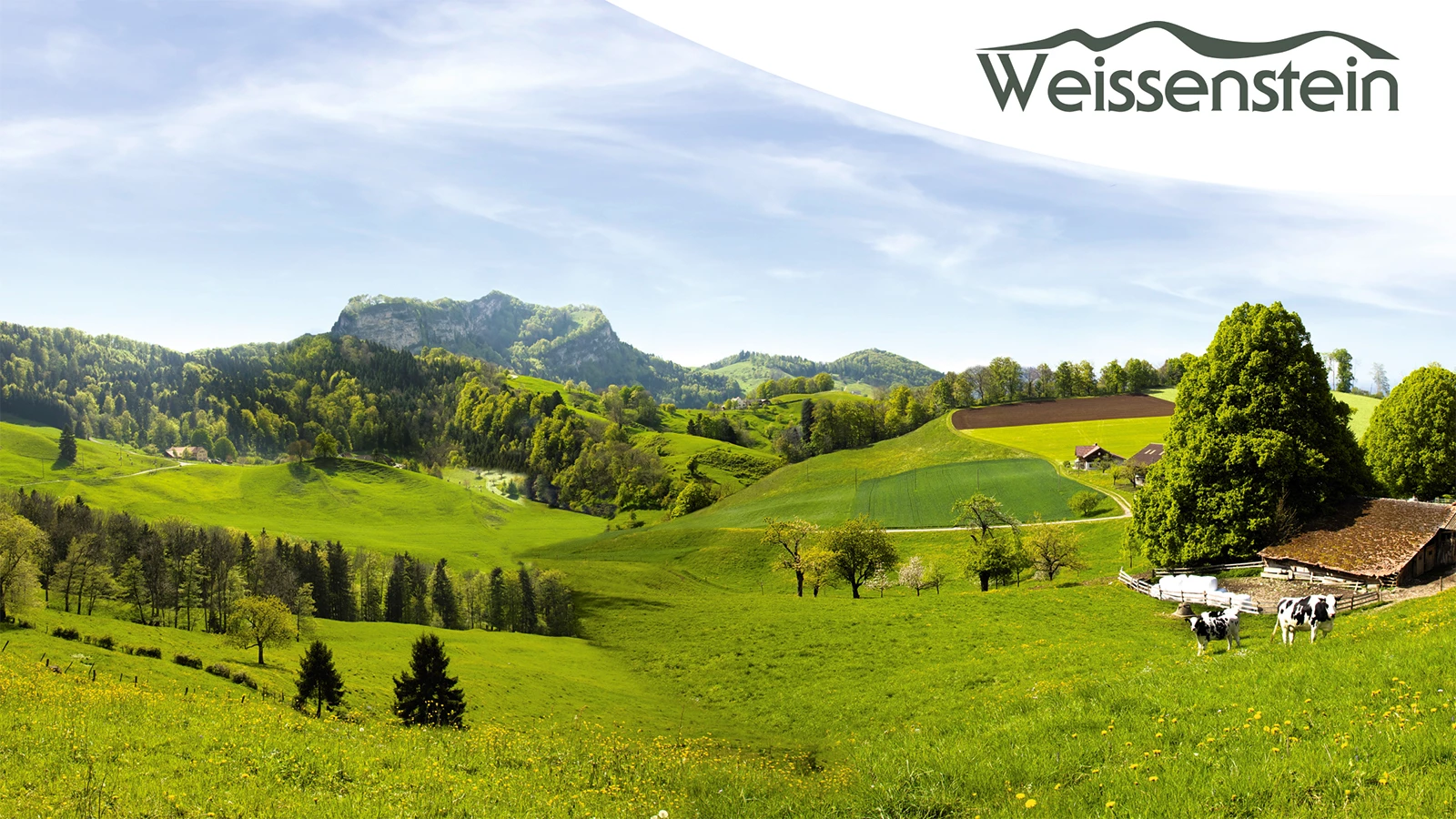 Weissenstein | Landi